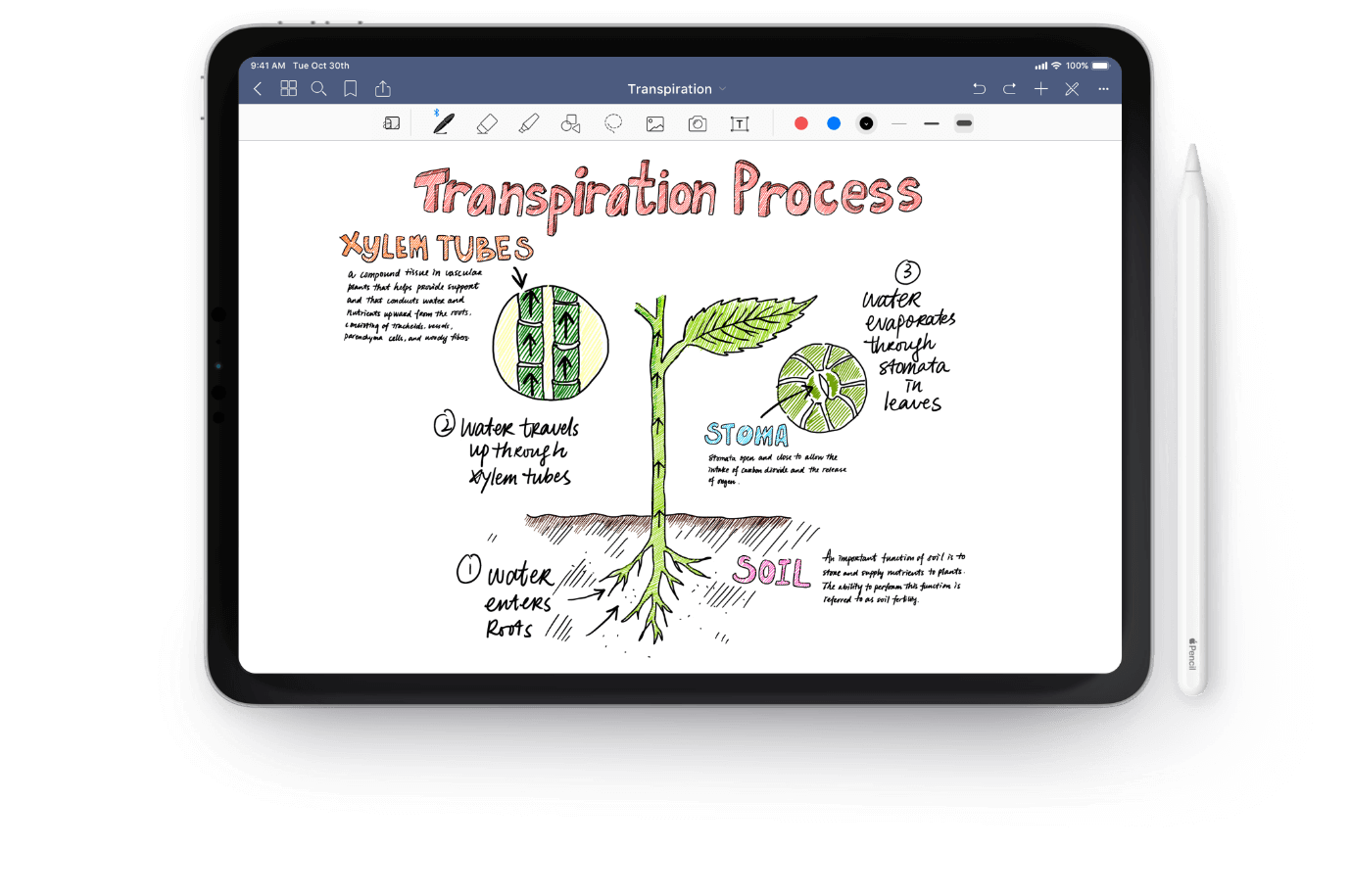 Simplenote Ipad Note Taking Nipodindi